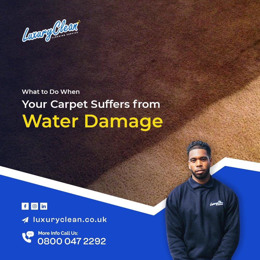 What to Do When Your Carpet Suffers from Water Damage